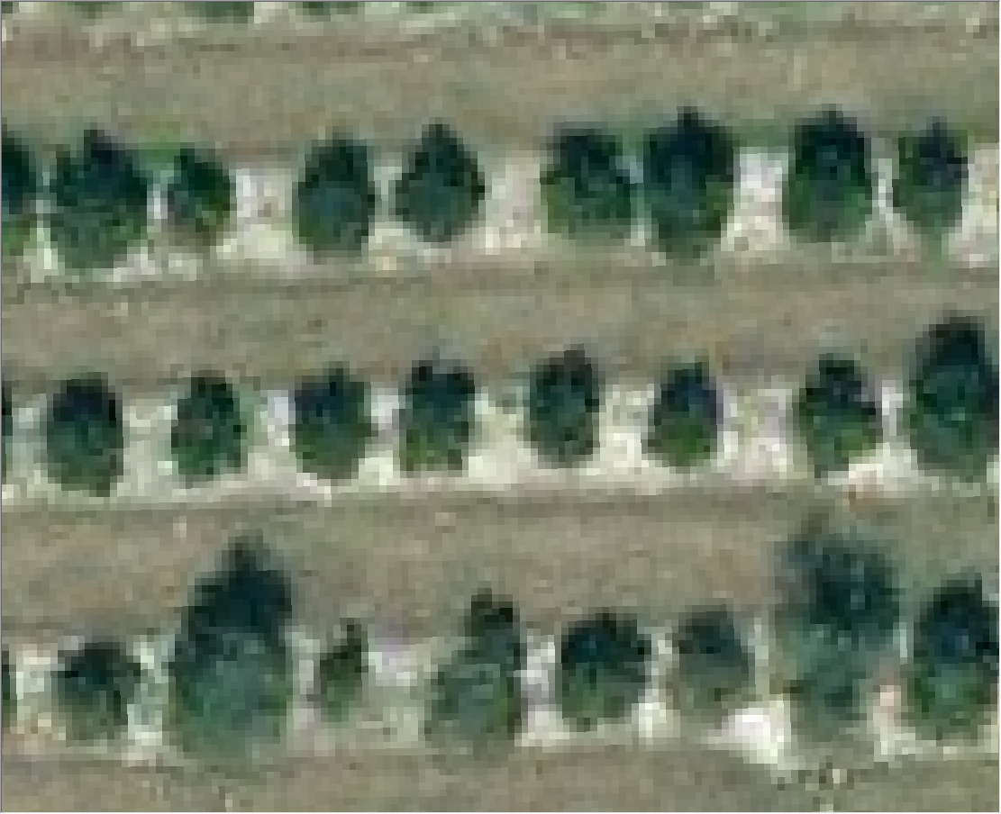 Solved Arcmap 1022 Mosaic Dataset Compressionresamp Esri Community