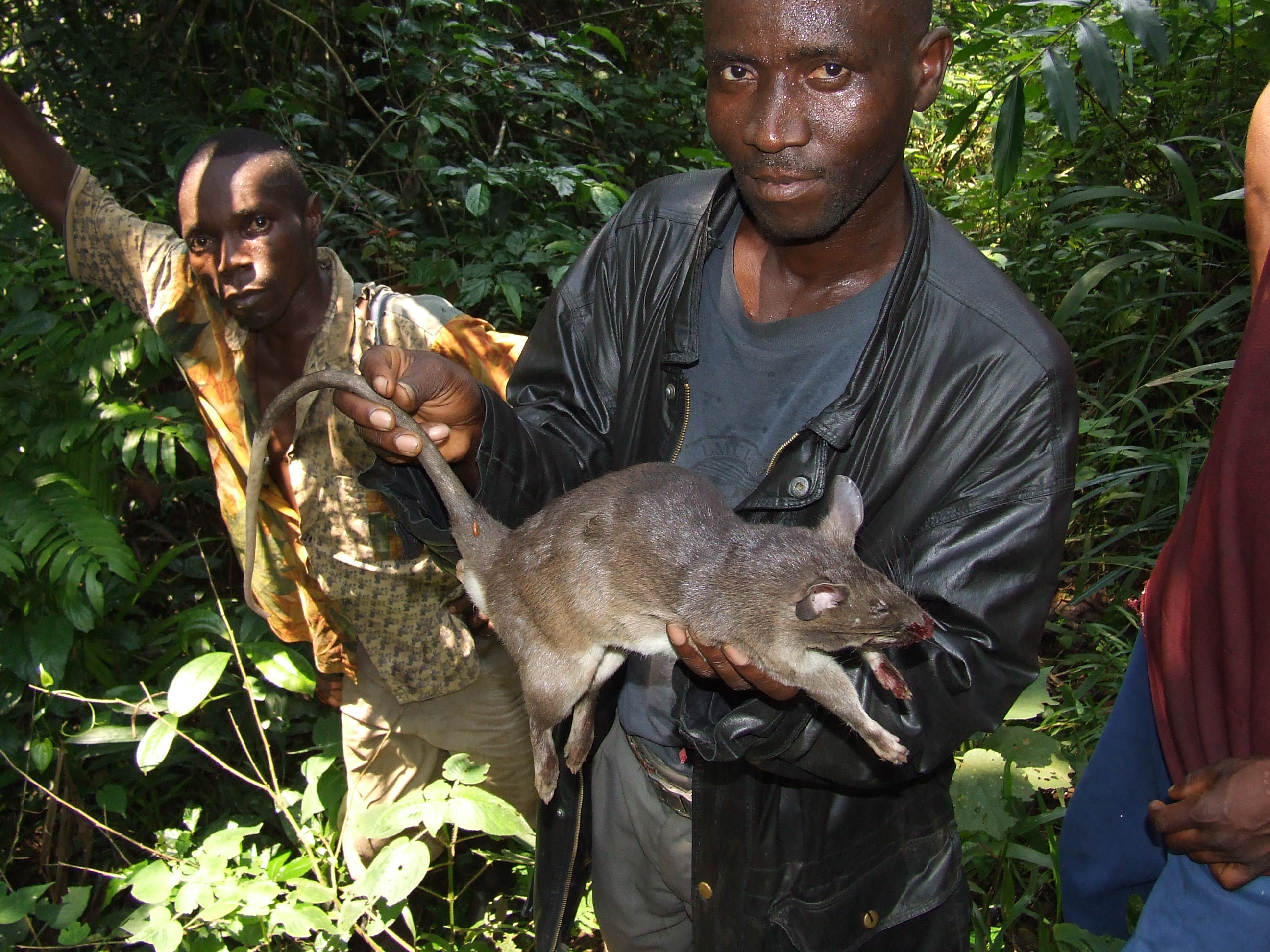 Dr. Mervyn Lotter, South Africa - Esri Community