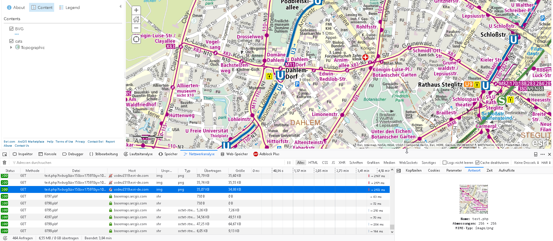 Kitten and Custom Tile Layers in AGOL and ArcGIS P... - Esri Community