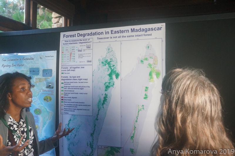 2019 Scgis Video / Map Gallery Presentation: Angel... - Esri Community