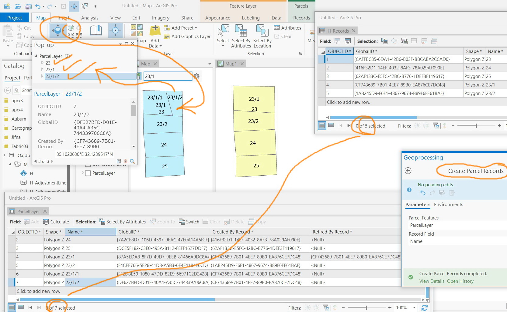 ArcGIS Pro 2.5: How does the fabric feature classe... - Esri Community
