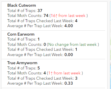 Solved: Issues with Arcade... Dictionary to FeatureSet - Esri Community