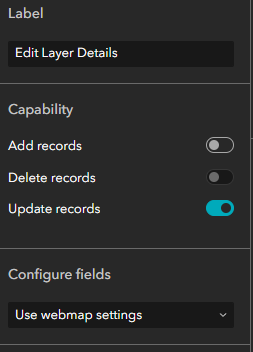 Experience Builder (AGOL) Edit Widget Allows Delet... - Esri Community