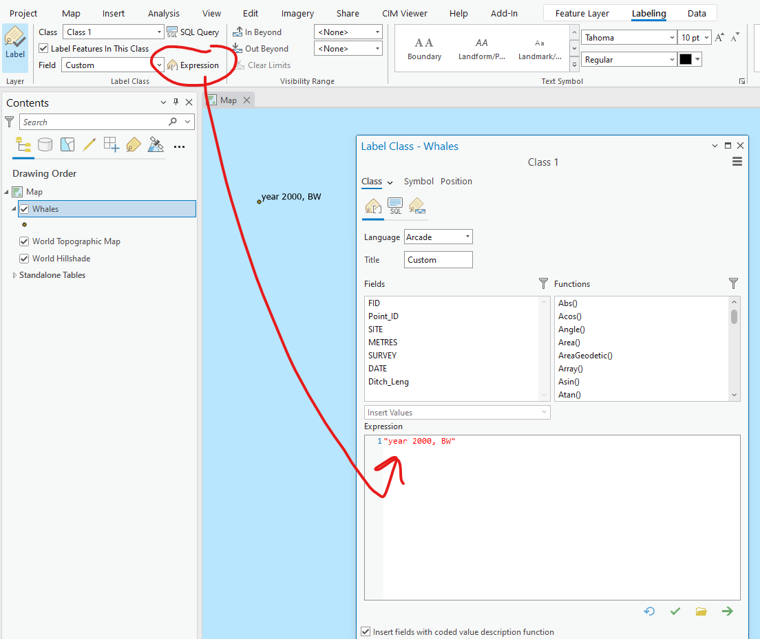 Solved: Custom text for labels? - Esri Community