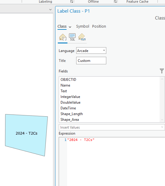 Solved: Custom text for labels? - Esri Community