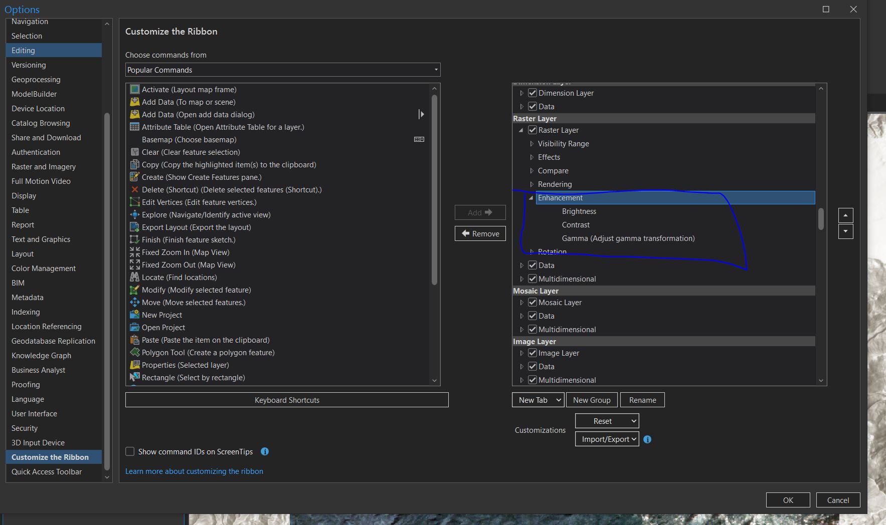 Raster Layer -> Enhancement tools not working. - Esri Community
