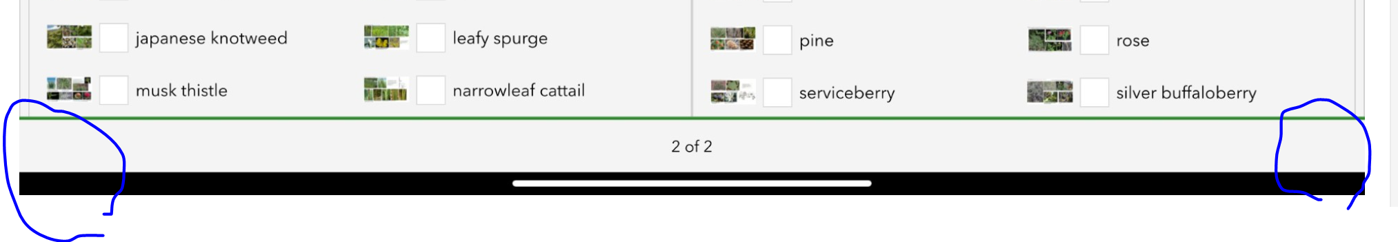 123 form buttons disappear - Esri Community