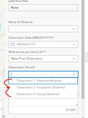 How to override values for fields with calculated expressions in Forms and the Editor widget
