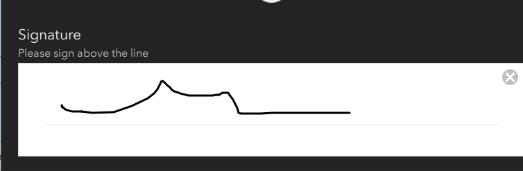 Signature line not drawing in web app but works in... - Esri Community