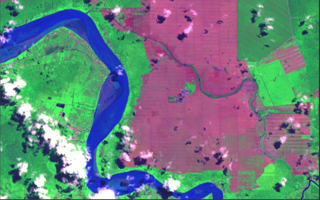 Solved: Classify pixels using deep learning -- results not... - Esri ...