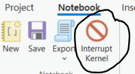 How to kill a notebook process - Page 2 - Esri Community