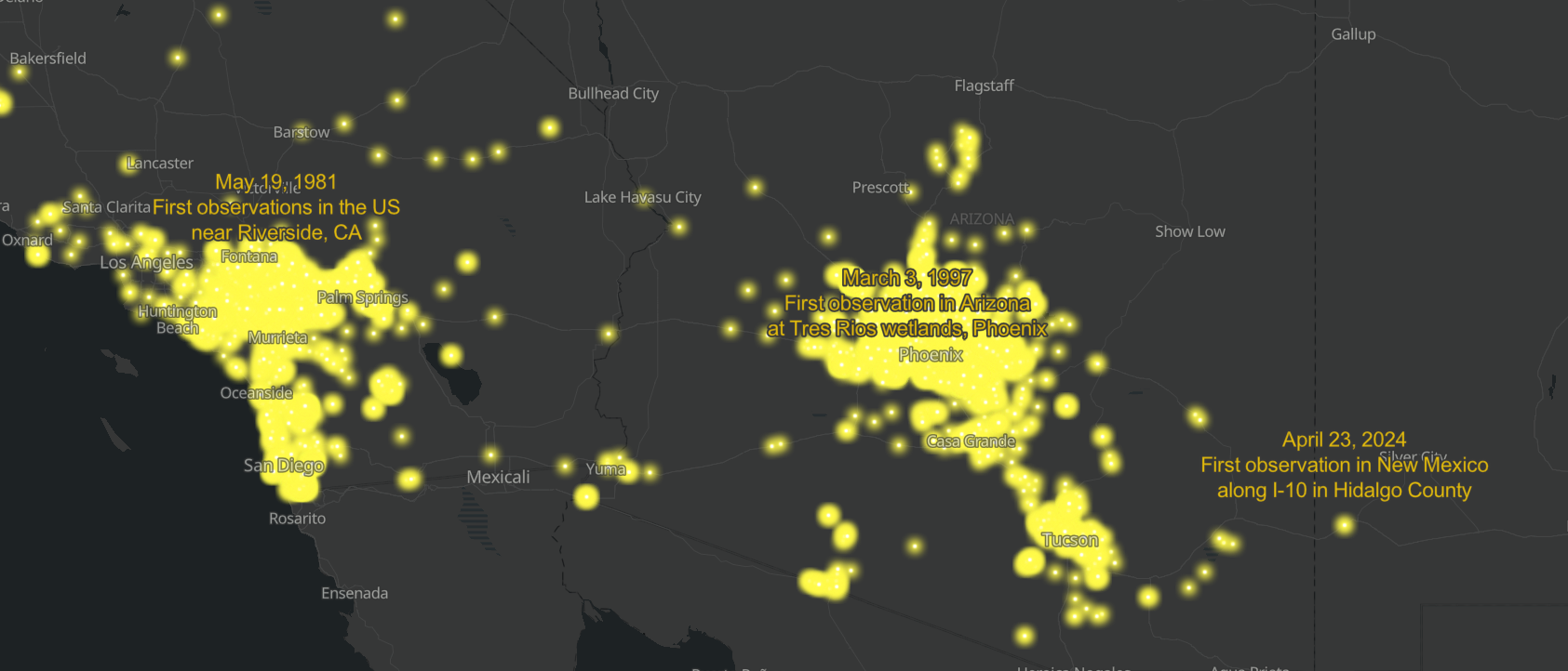 Show and hide labels during specific years on time... - Esri Community