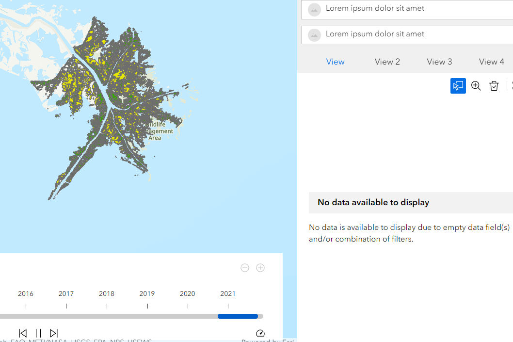 Problem In Showing Chart Widget Esri Community