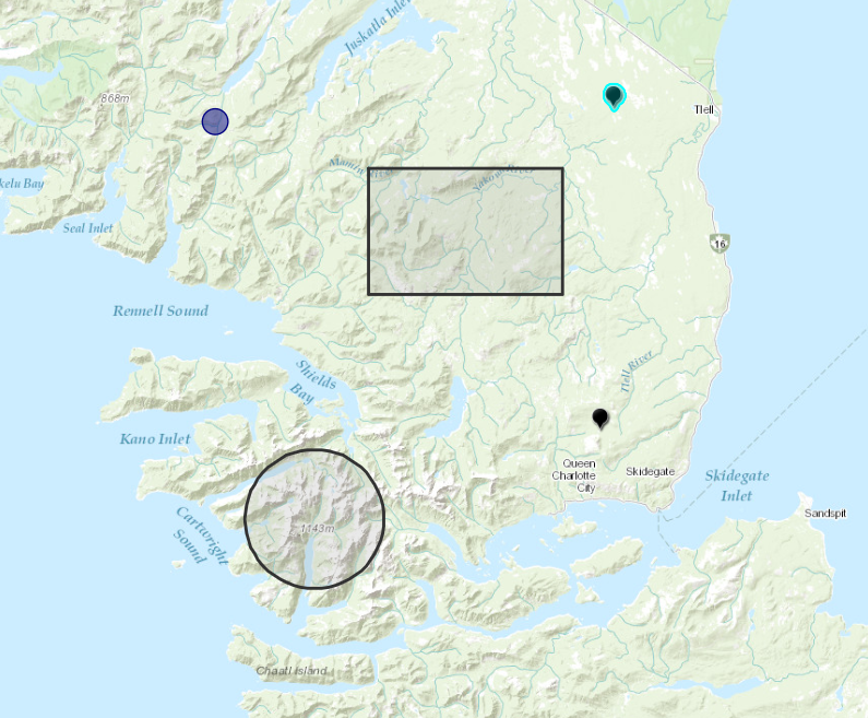 How to label drawings in Draw widget? - Esri Community