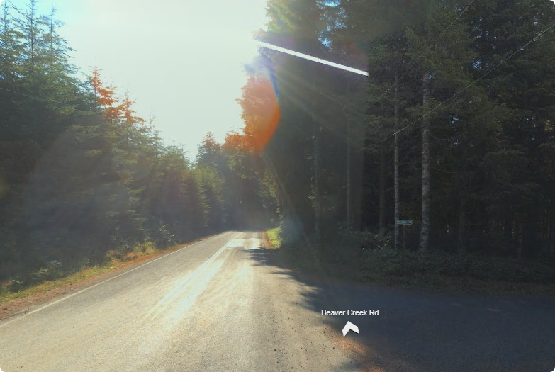 Free Bing/Azure Maps Streetside View Integration f... - Esri Community