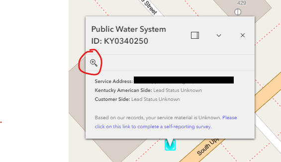 Remove "Zoom-To" Action Button from Default Popup - Esri Community