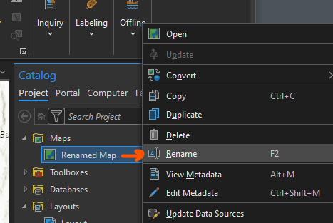 ArcGIS Pro Renaming Data or Maps - Esri Community