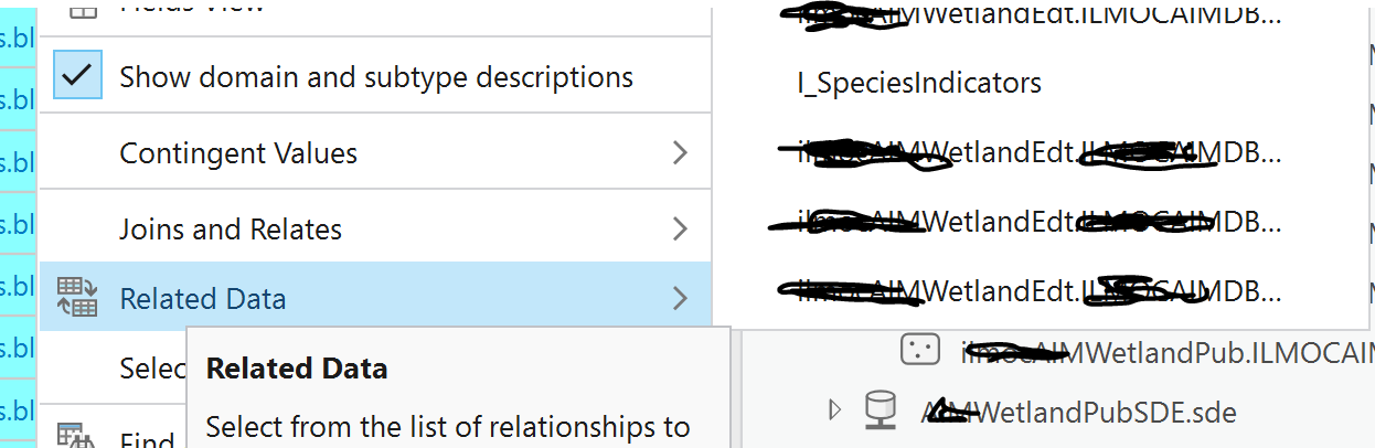 Relationship classes created in ArcPro get long na... - Esri Community
