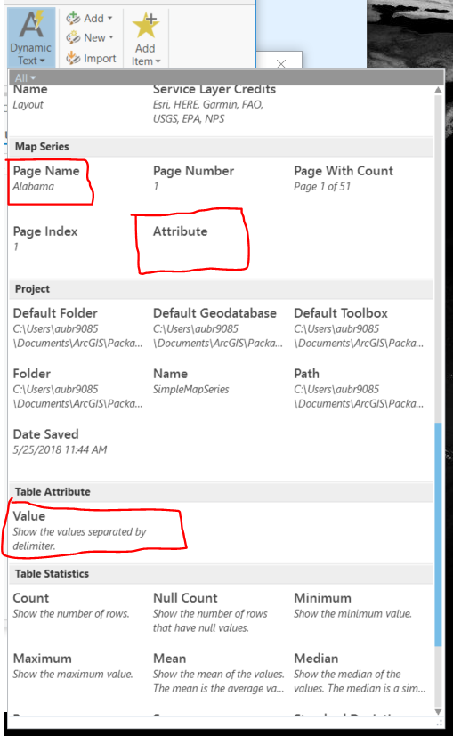 Solved: Using non-unique map series page name for dynamic ... - Esri Community