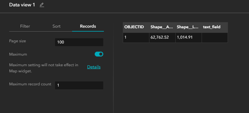 Solved: Using Filter Widget in Experience Builder to selec... - Esri Community