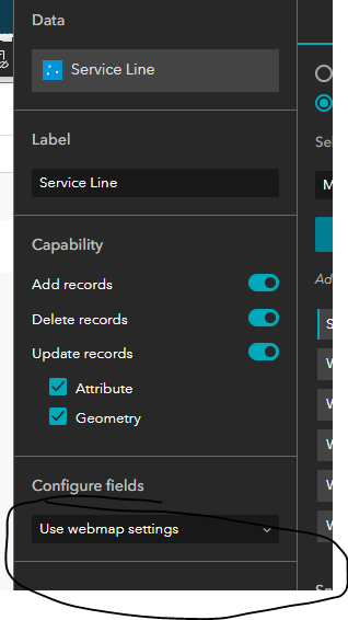 Solved: Experience Builder Edit Related Tables - Esri Community