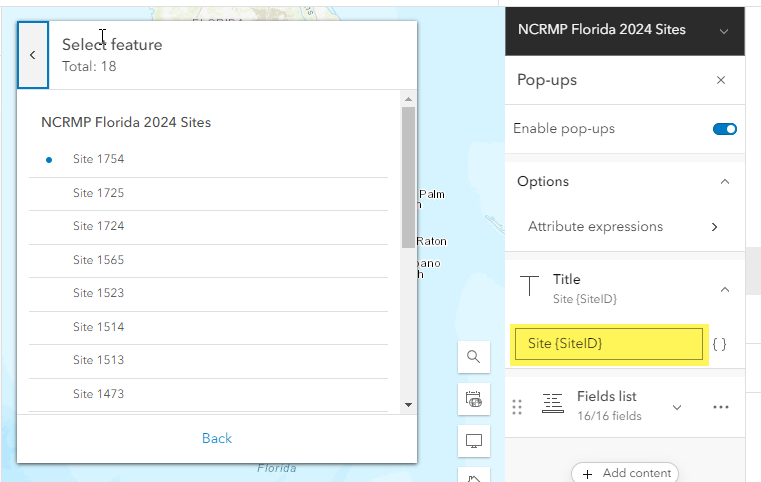 Solved: How to change Pop up select feature header in list... - Esri Community