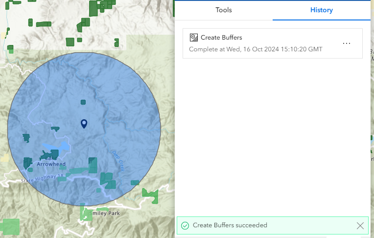 Buffer Widget Experience Builder - Esri Community