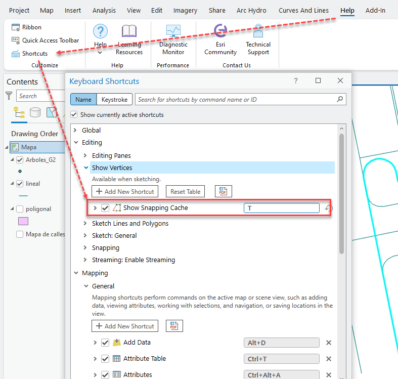 Quick shortcut to show ALL vertices in ArcPro - Esri Community