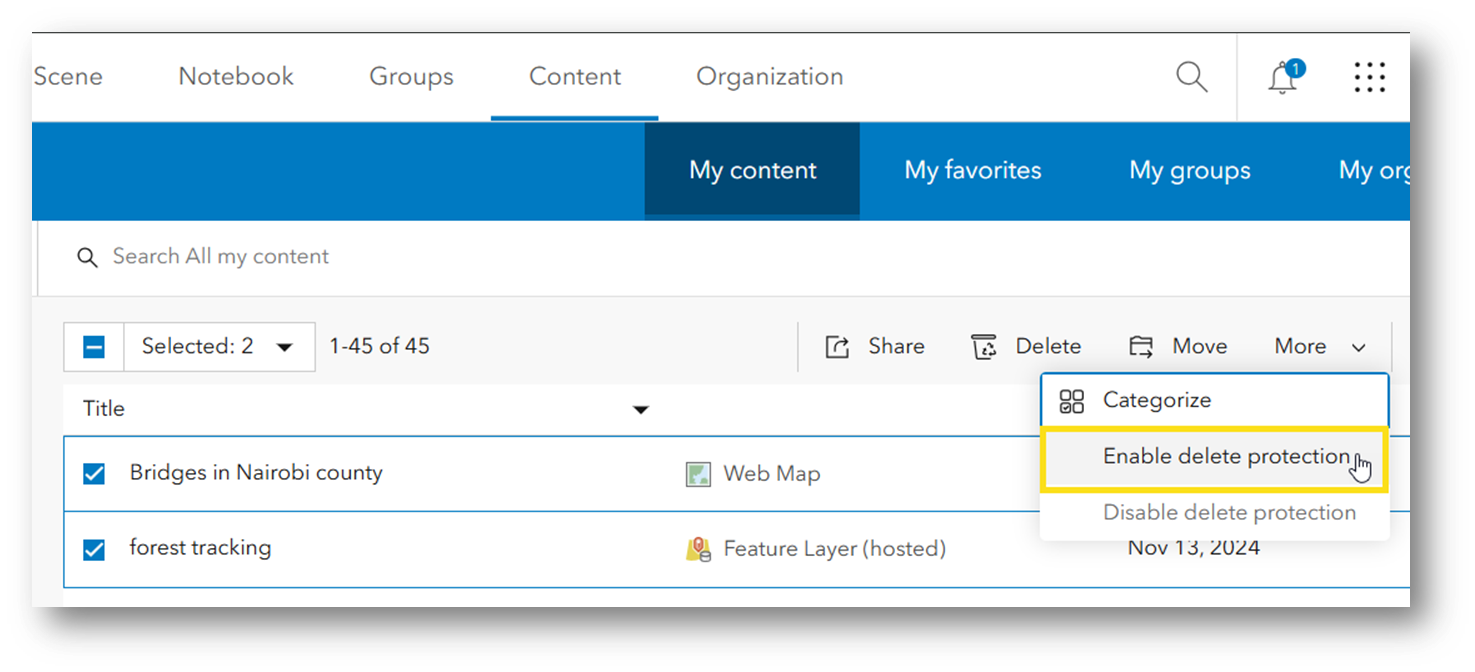 Optimize ArcGIS Online: Easily Manage Delete Protection for Multiple Items