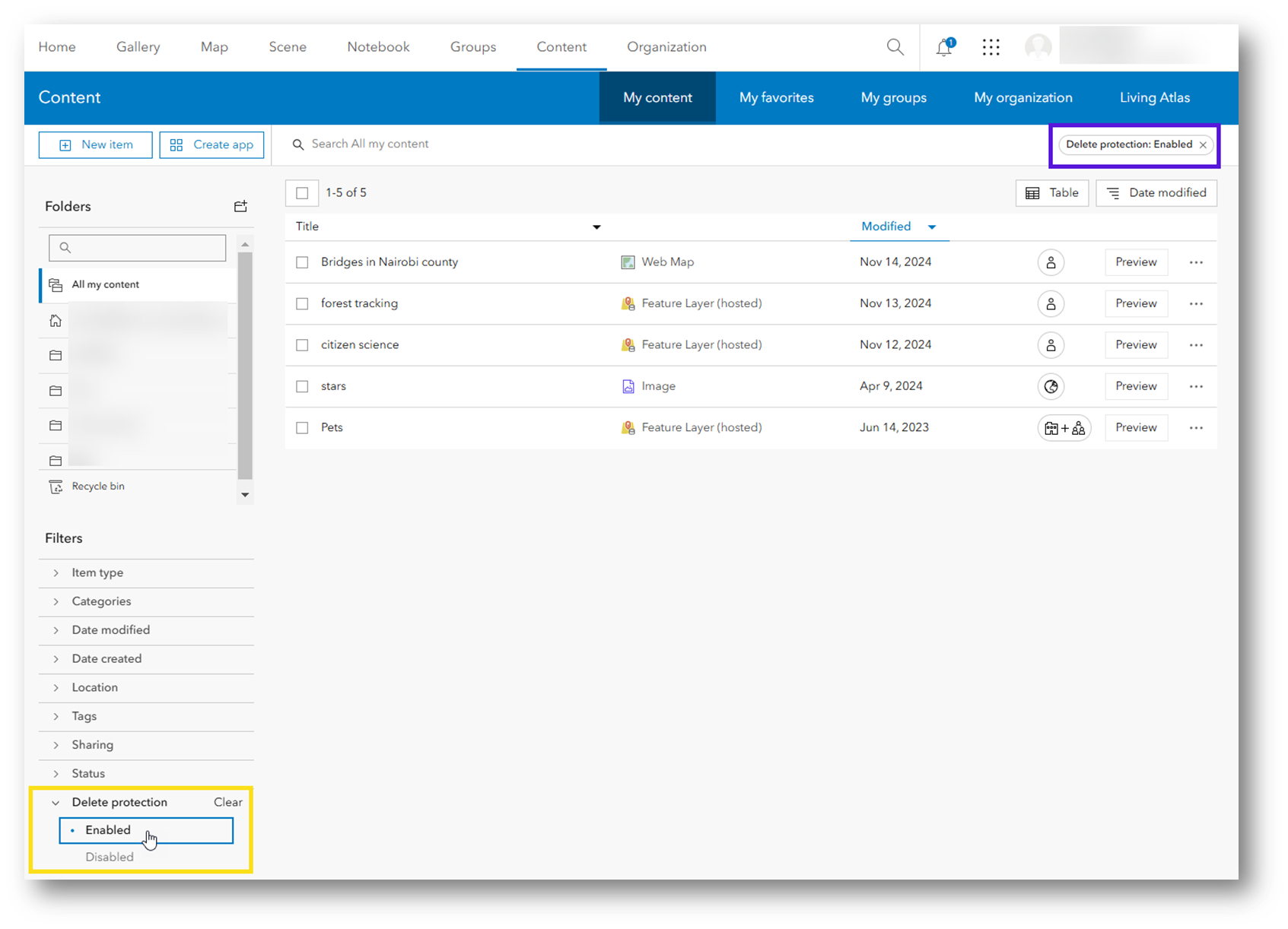 Optimize ArcGIS Online: Easily Manage Delete Protection for Multiple Items