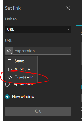 Solved: Individual links to different URL in Lists - Esri Community