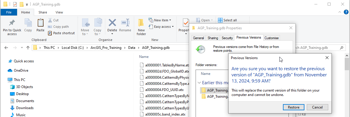 How to restore a file database to a previous versi... - Esri Community