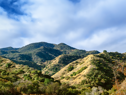 What's new in ArcGIS tutorials Sep - Nov 2024 - Esri Community