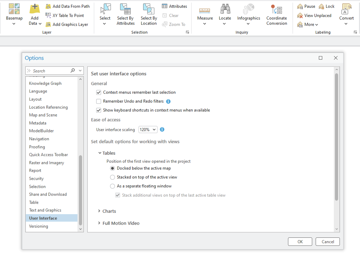Solved: Can't resize dialog box - Esri Community