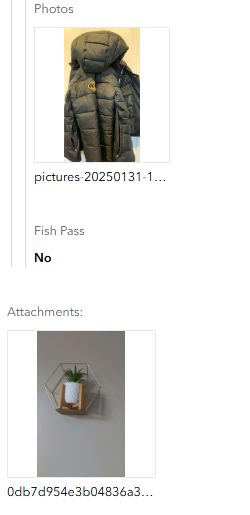 Why do photos taken in QuickCapture not appear in ... - Esri Community