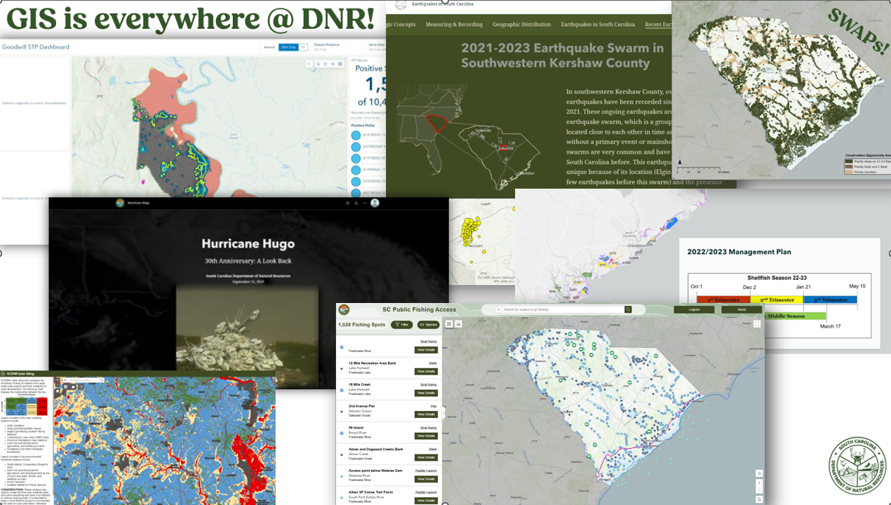 Seeing the Forest through the Trees & the Patterns... - Esri Community