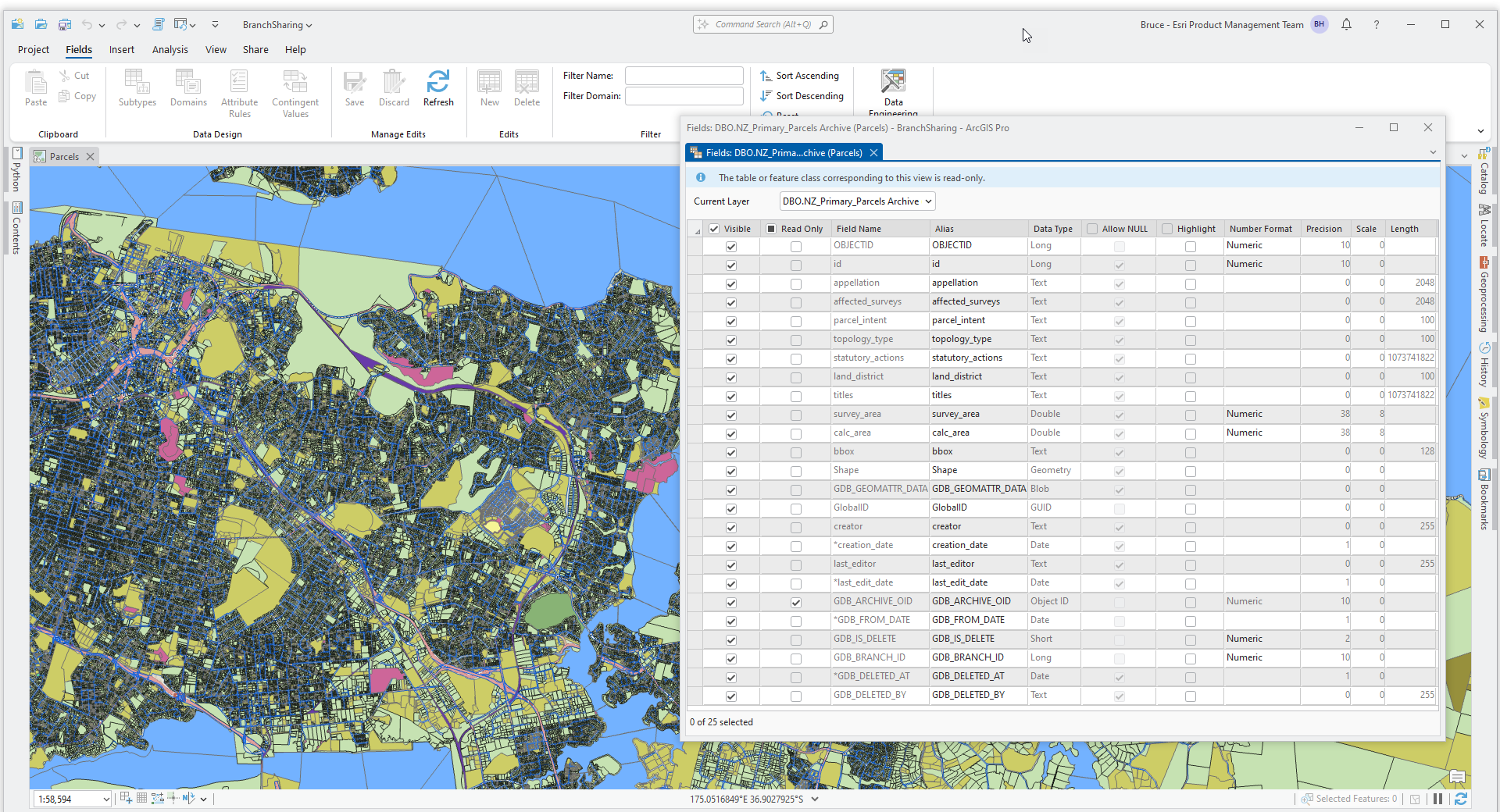 Share Versioned Cloud Native Data With Optional Ti... - Esri Community