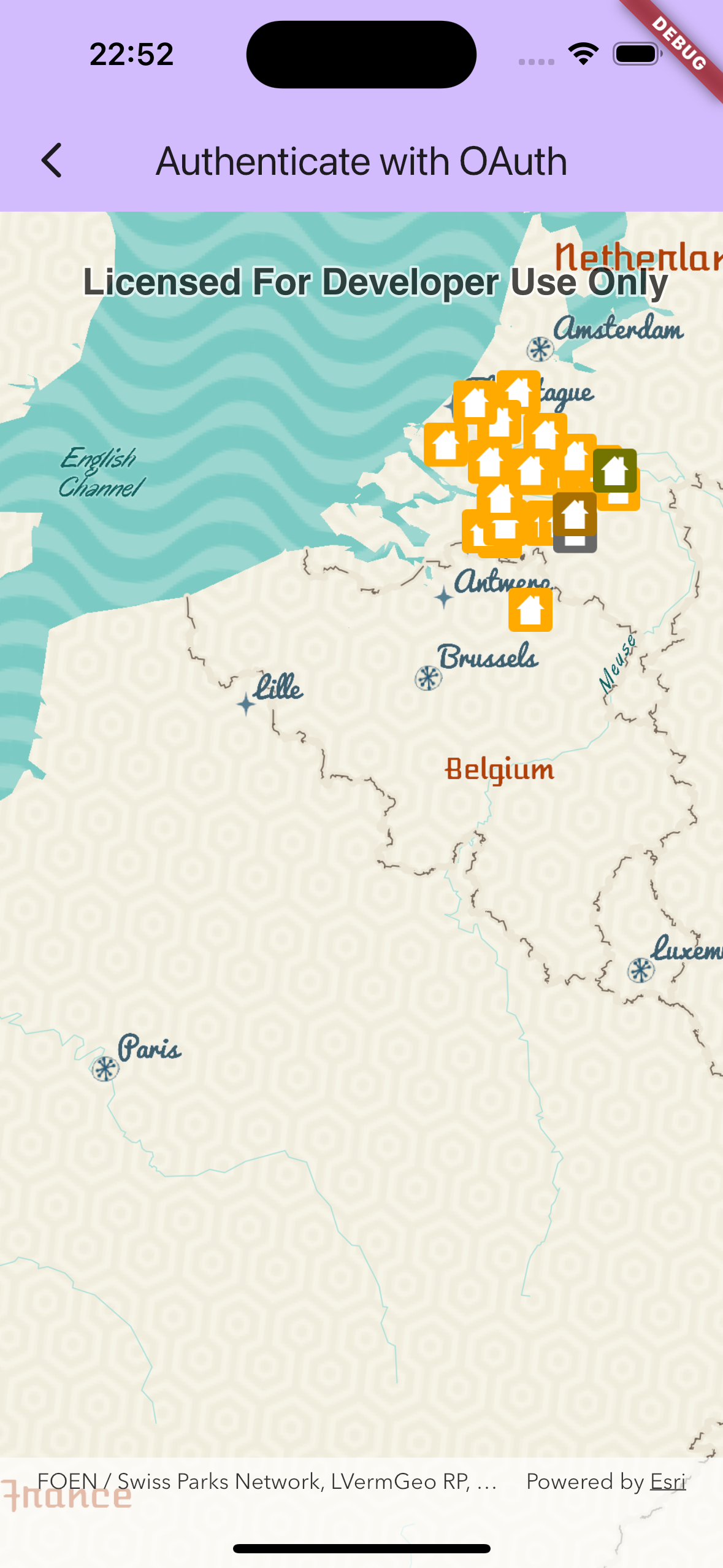 Solved: Secured webmap layers are not loaded when FeatureL... - Esri Community