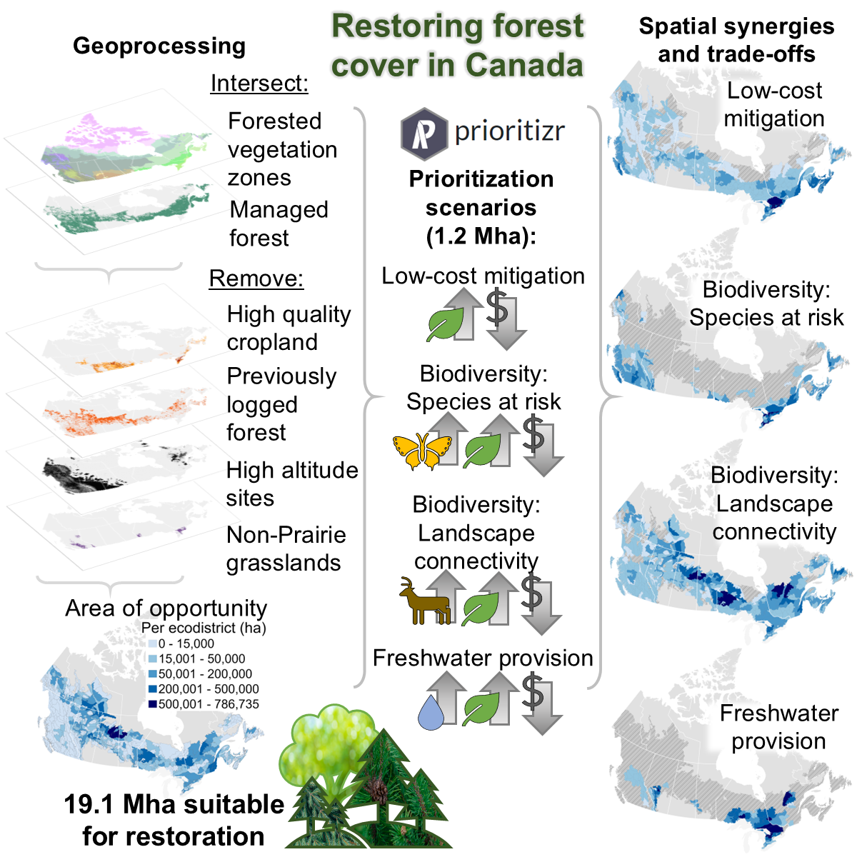 Tree-mendous Places: Using GIS to Optimize Forest ... - Esri Community