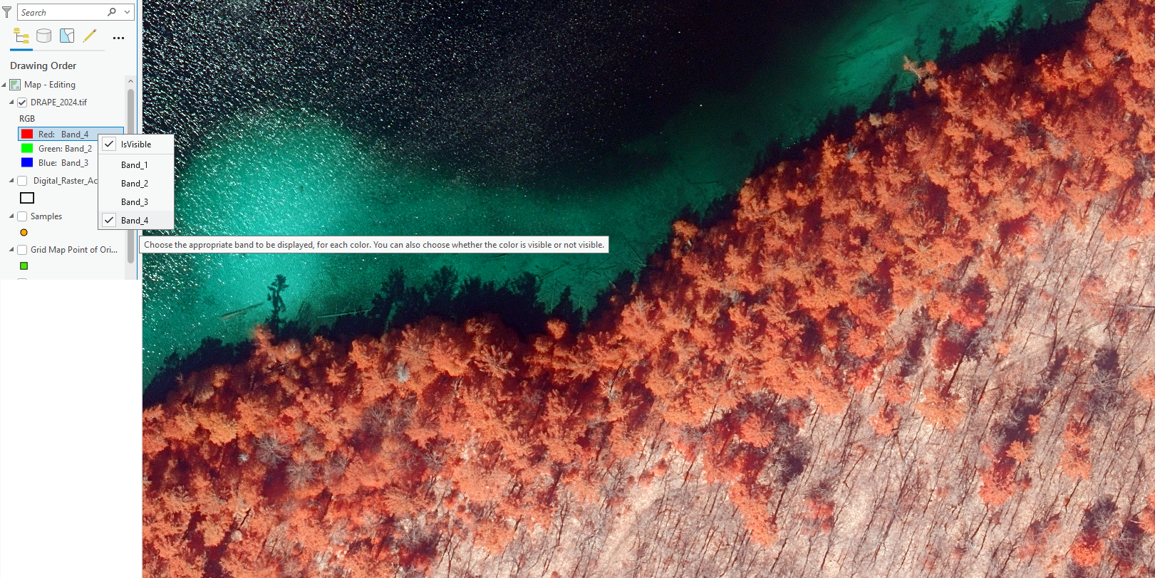 View raster band-4 near infrared in ArcGIS Pro - Esri Community