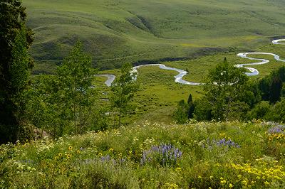 Esri Conservation Solutions: A Holistic Approach t... - Esri Community