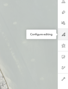 Configure editible fields in new map viewer - Esri Community