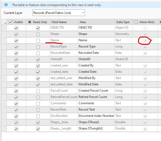 Can Allow Null for Record Name be turned off? - Esri Community