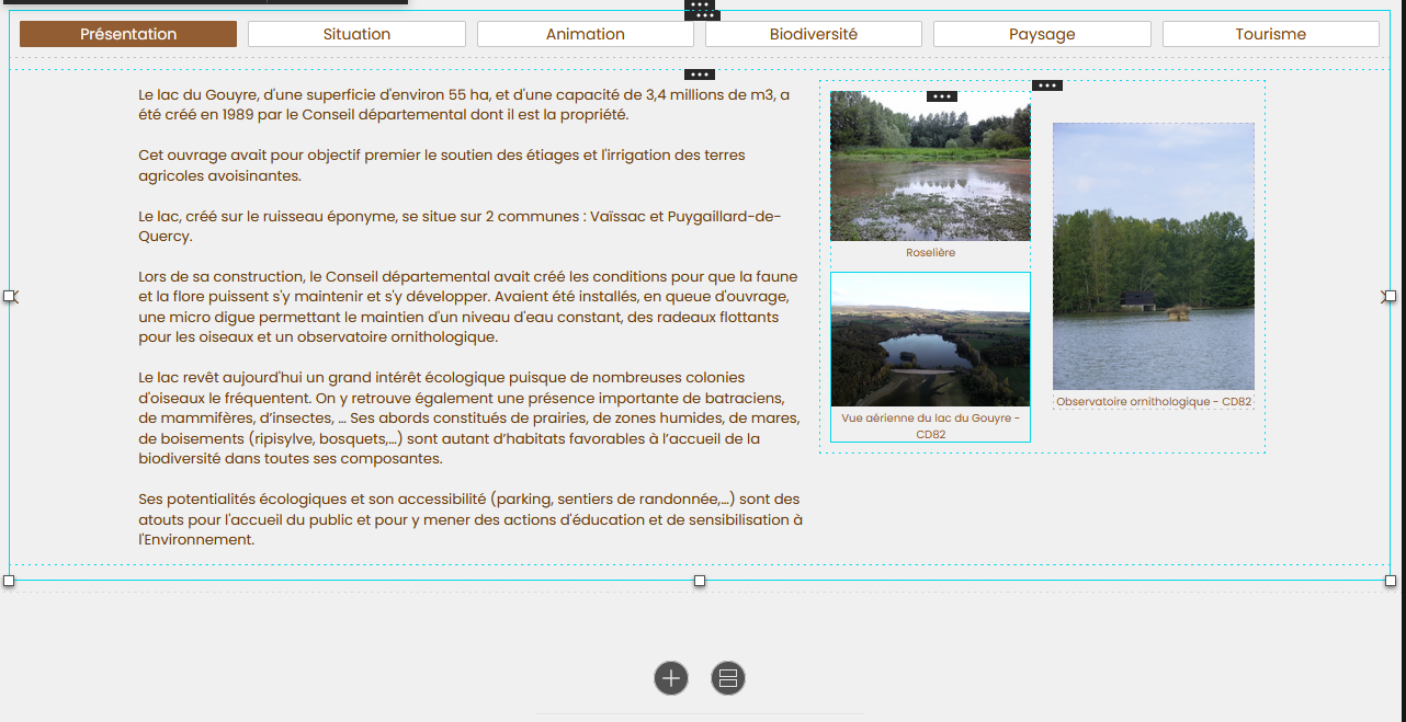 Tabs Layouts - Esri Community