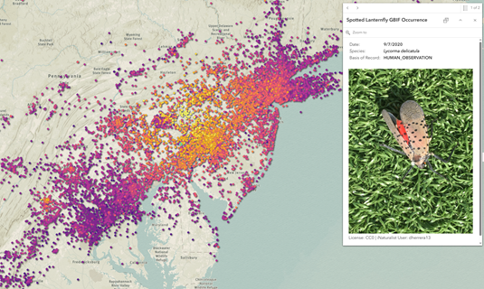 Download GBIF Species Occurrence Data in ArcGIS Pr... - Esri Community