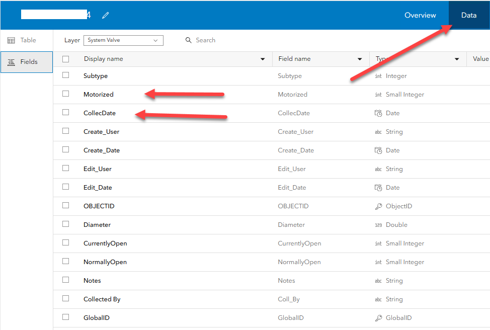 Why aren't field's Display Name used in Map Viewer... - Esri Community