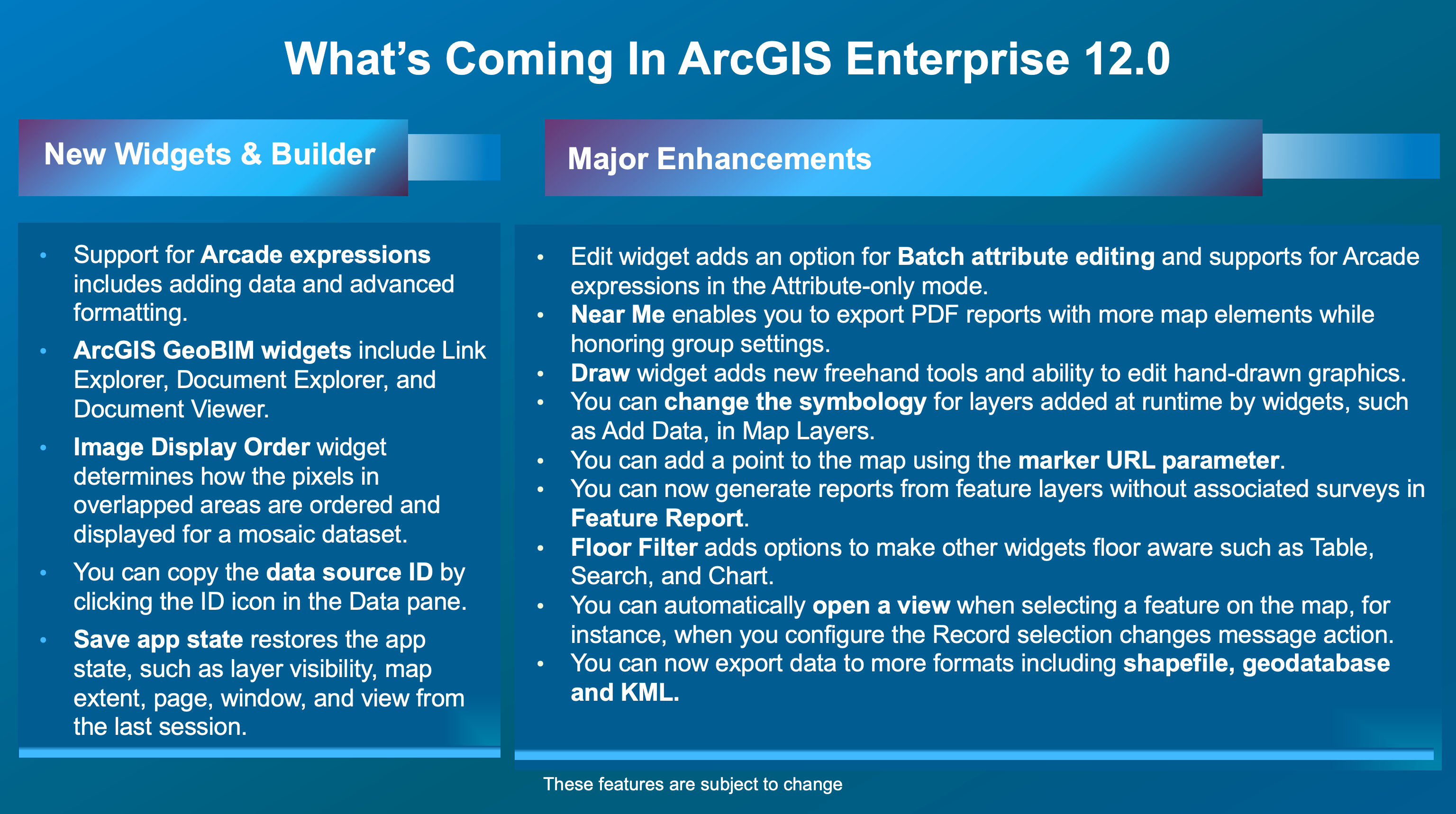New features in Experience Builder in ArcGIS Enterprise 12.0