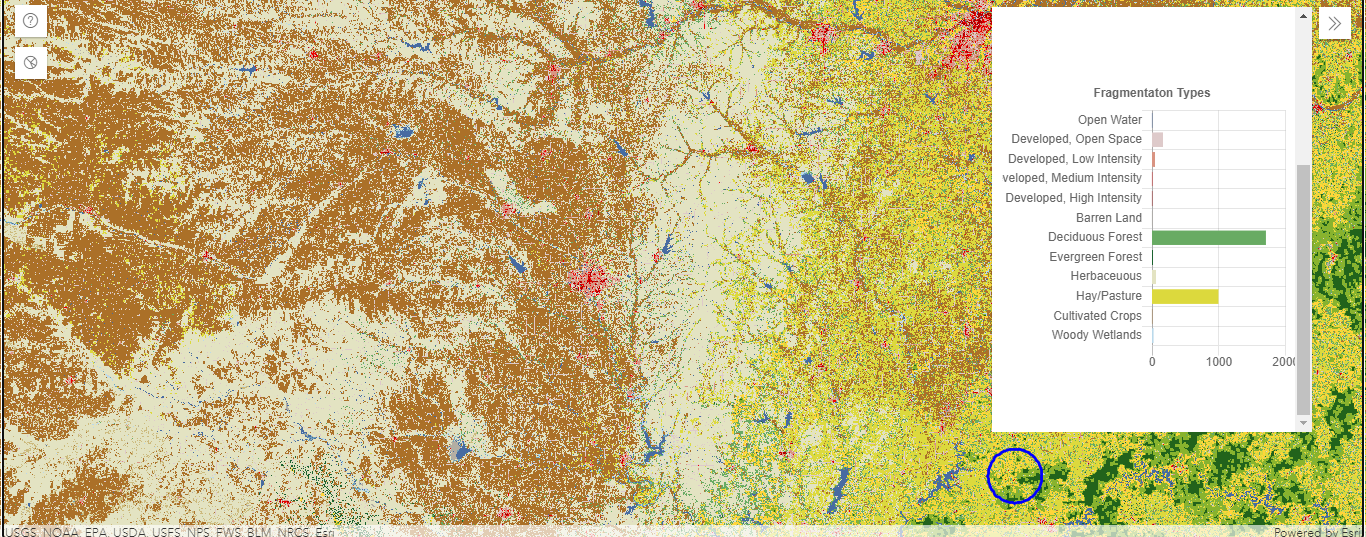 Creating multiple client side charts for imageryLa... - Esri Community