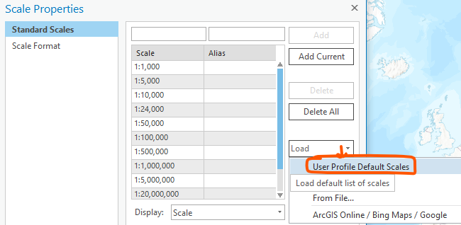 Custom scale - Esri Community