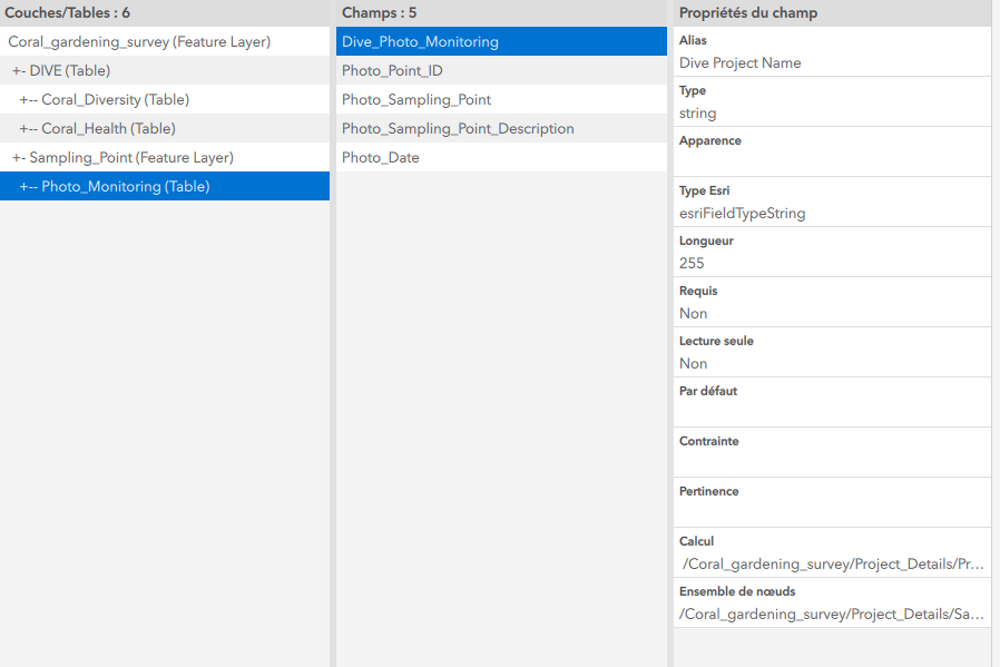Solved: Adding a nested table into existing Feature Layer ... - Esri ...